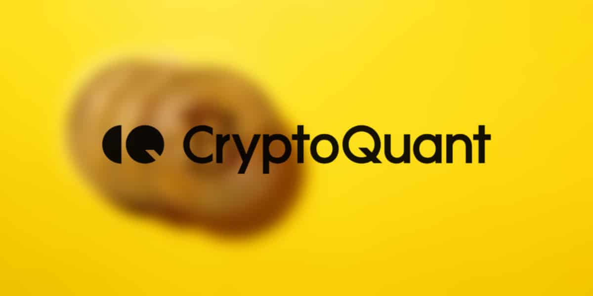 آموزش کار با سایت کریپتو کوانت (CryptoQuant)
